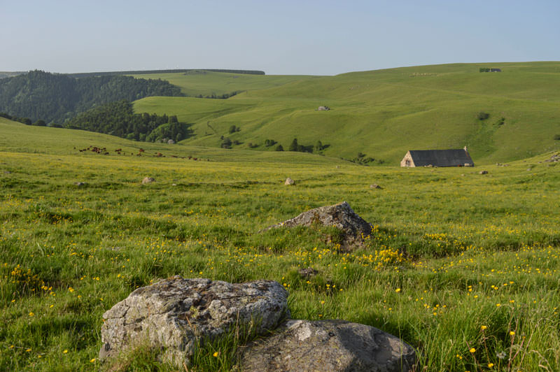 Les burons - Hautes Terres Tourisme