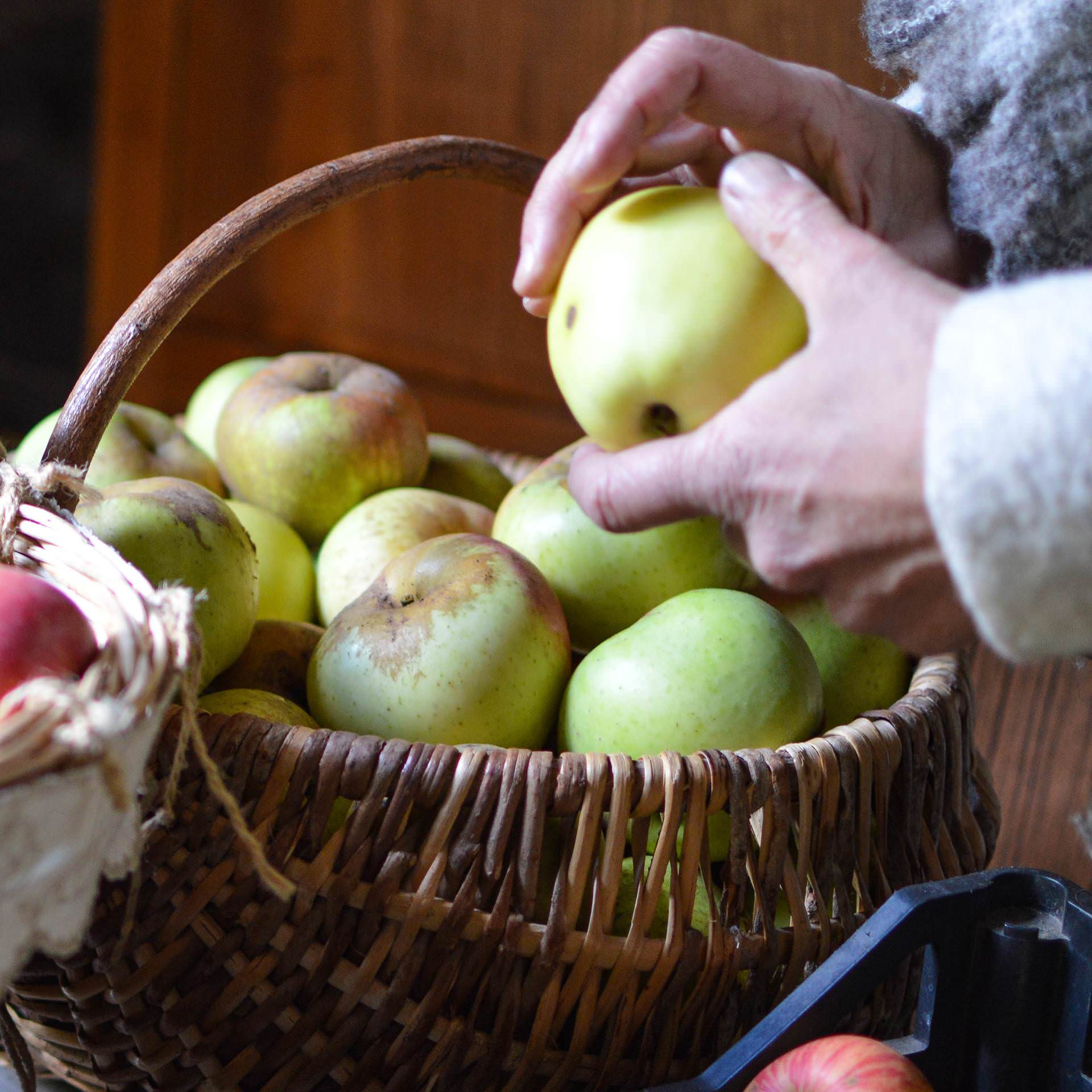 Vacances de Toussaint : notre sélection coup de coeur - Hautes Terres ...
