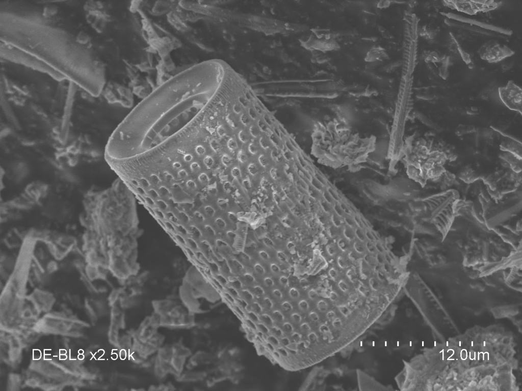 La diatomite, l’Or blanc de Murat - Hautes Terres Tourisme